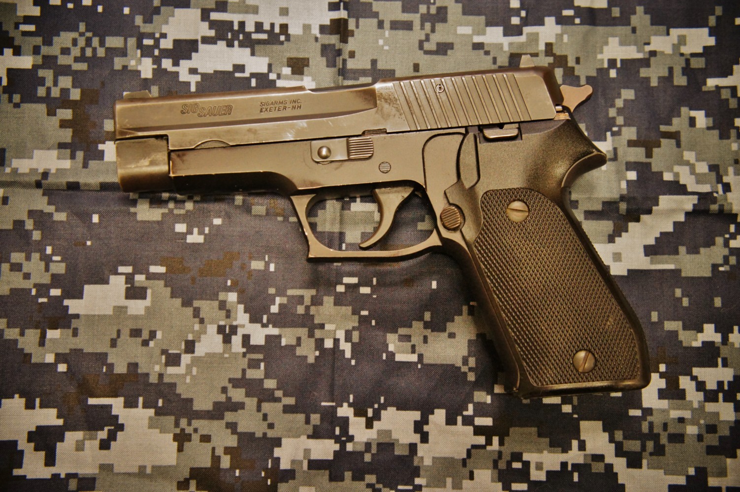 Photo of the day: Sig P220 DAO - Gun Nuts Media