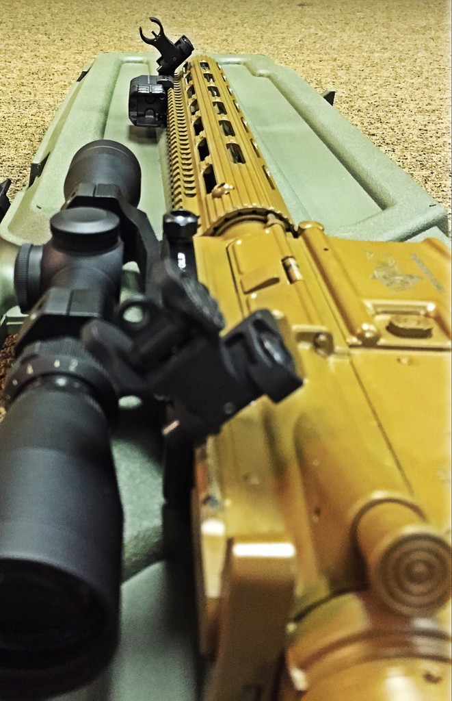 Troy 45 degree offset BattleSights - Gun Nuts Media
