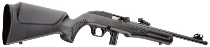 The 3 Best 22 LR Rifles for Home Defense - Gun Nuts Media