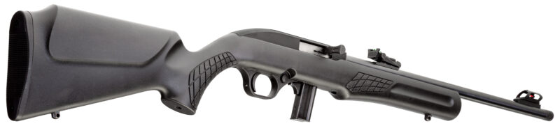 The 3 Best 22 LR Rifles for Home Defense - Gun Nuts Media